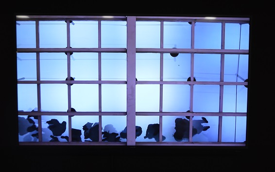 Ali Bilge Akkaya’nın fotoğraflarında kaybolacaksınız! | Kitaptan Sanattan